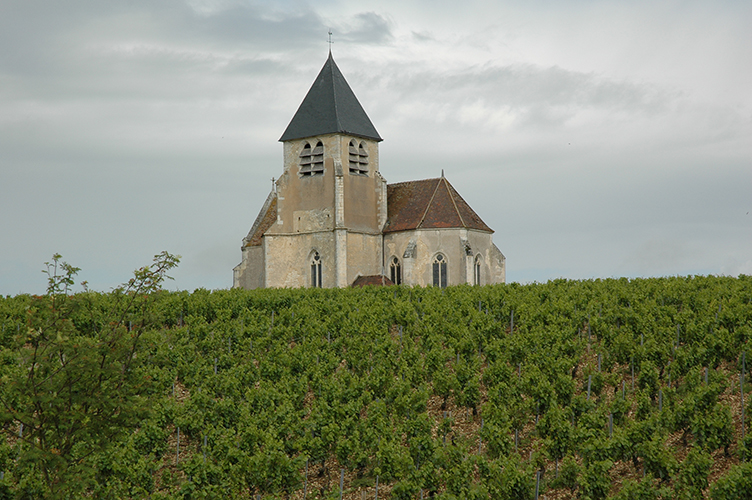 Chablismästaren Brocard - Johan Lidby Vinhandel