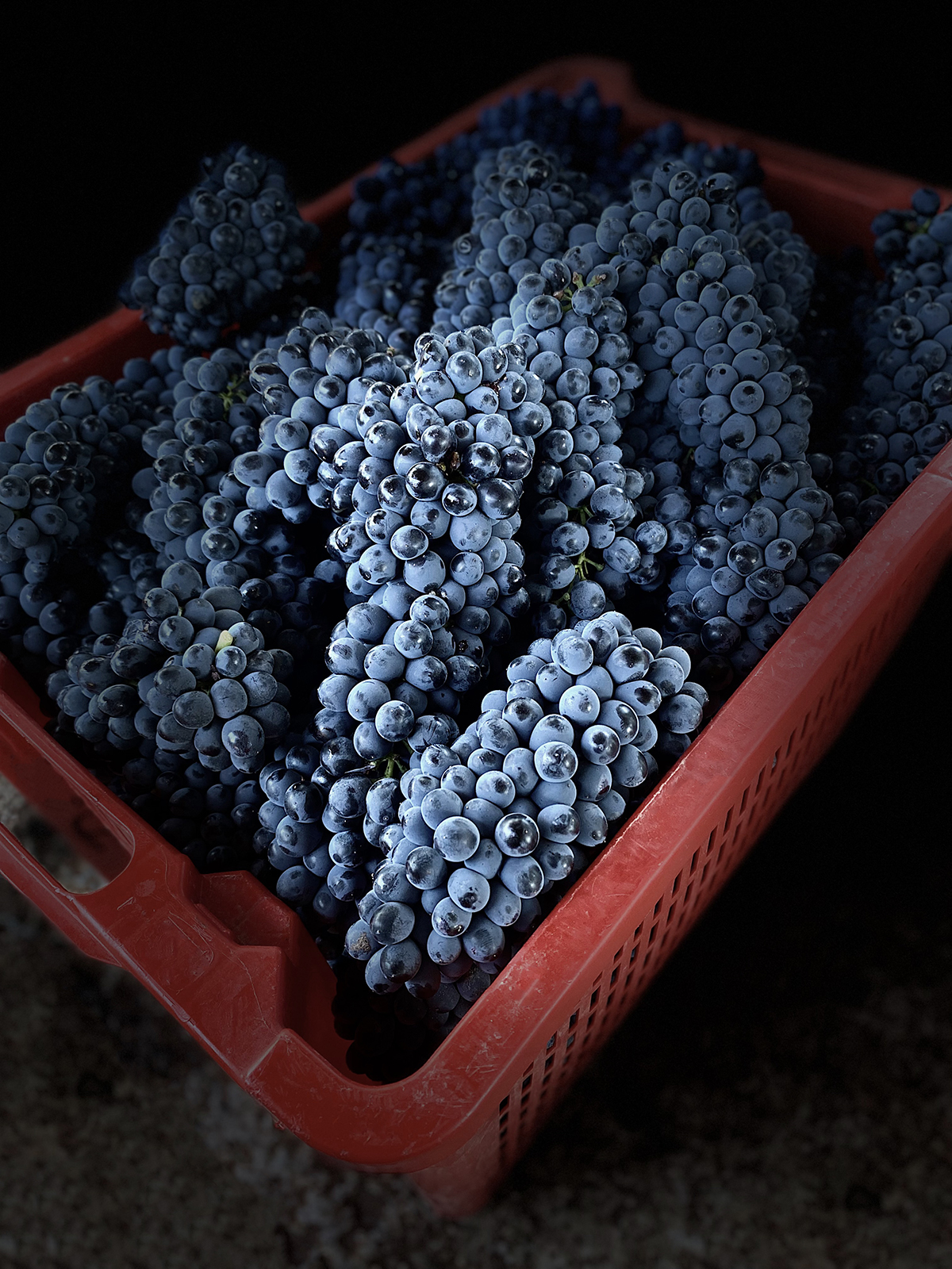 Son Antem Alaró Mallorca